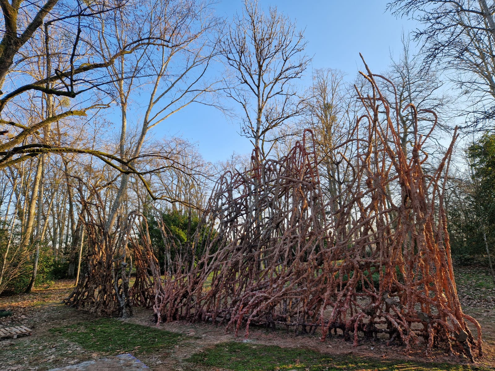 Chemins croisés - Lionel Sabatté