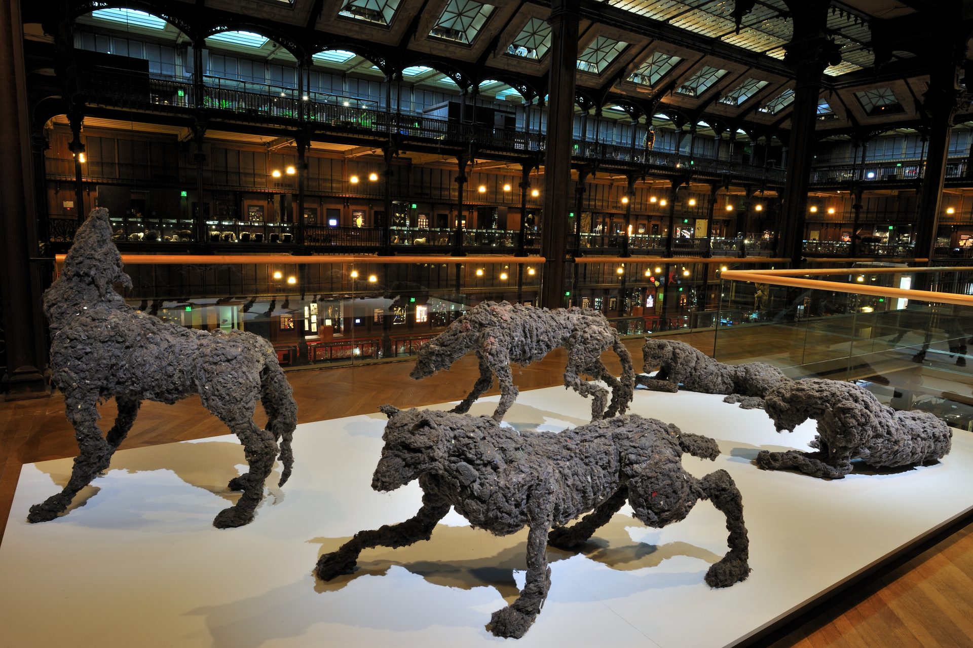 La Meute - Lionel Sabatté