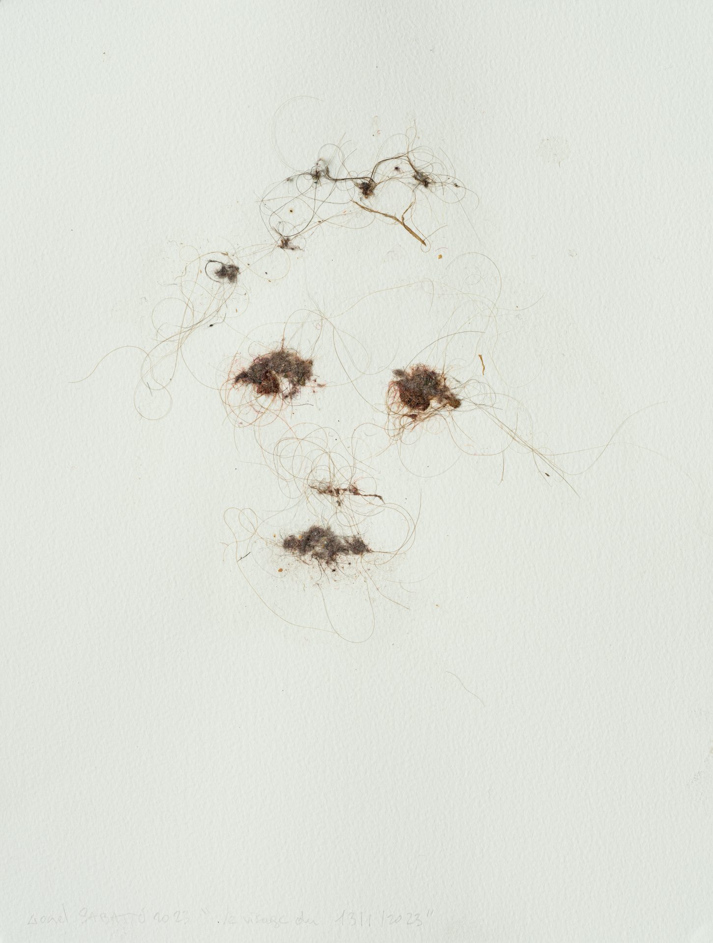 Cent visages de Chambord - Lionel Sabatté