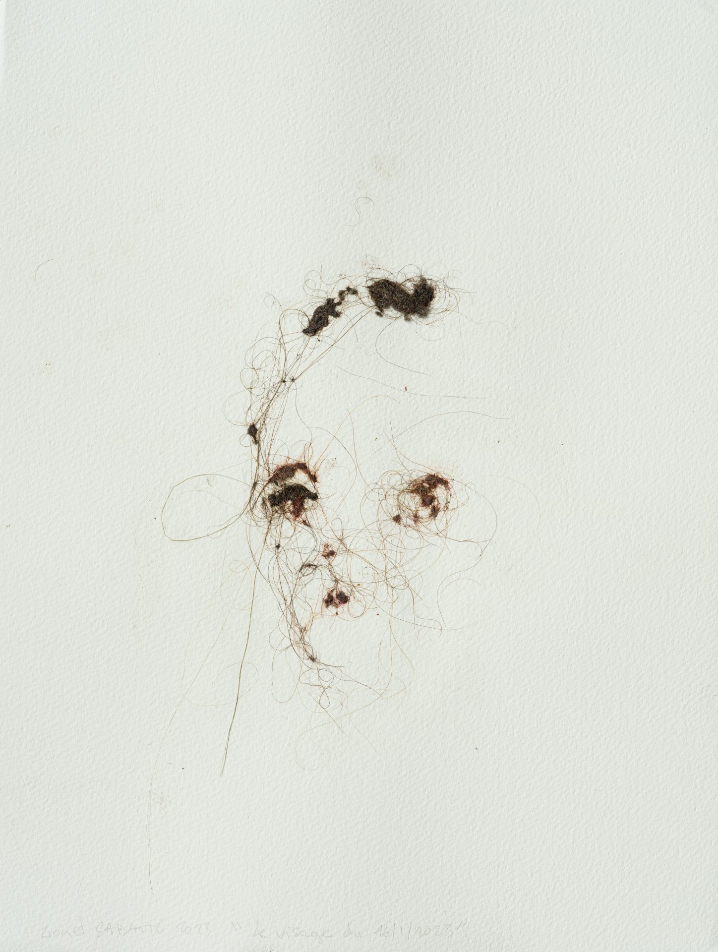 Cent visages de Chambord - Lionel Sabatté