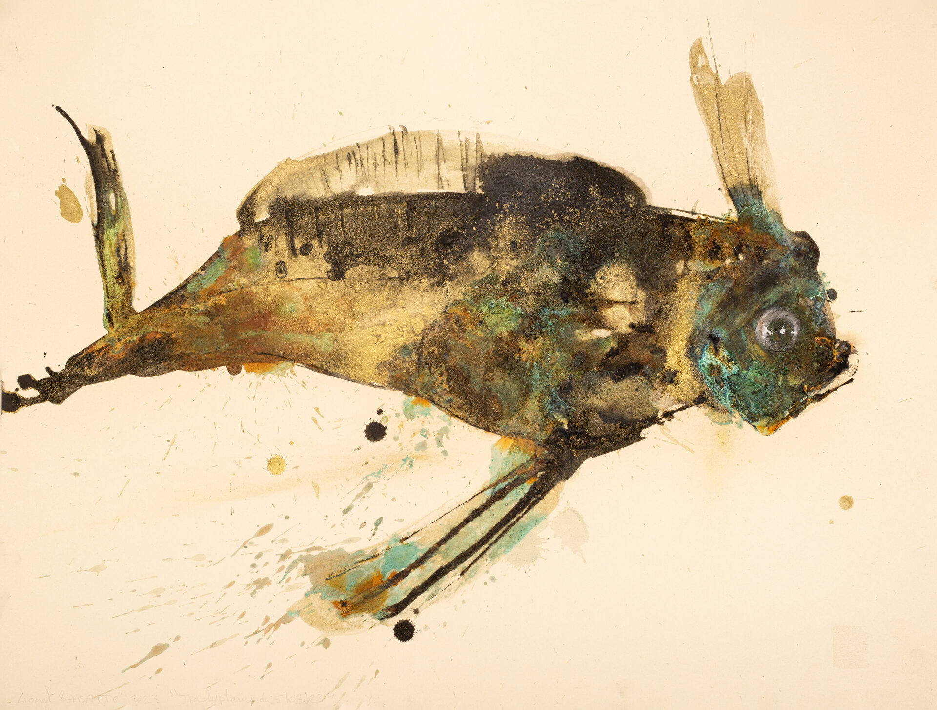 Reptiles, amphibians & fish - Lionel Sabatté